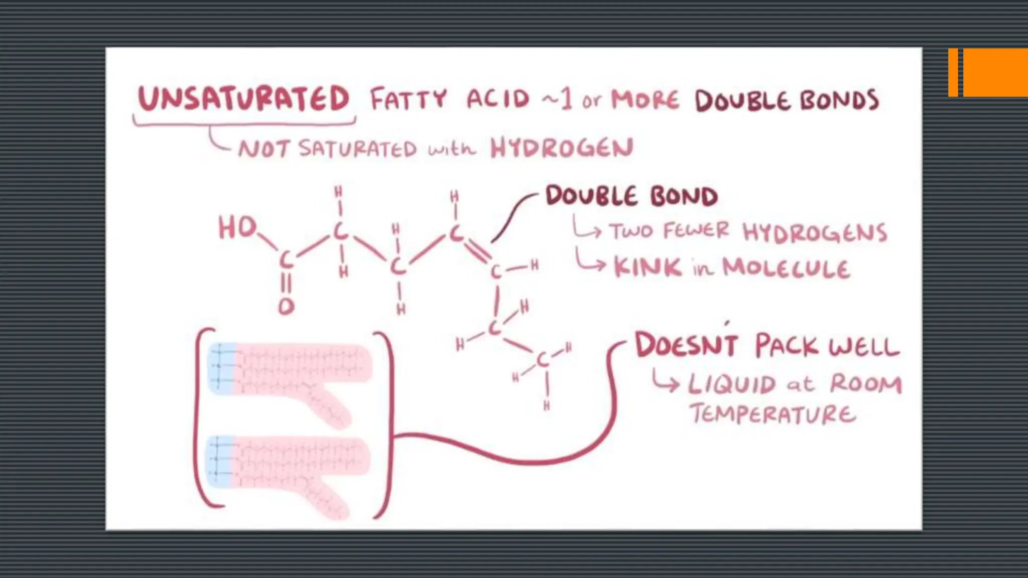 The structure of lipids and it's components | PPTX