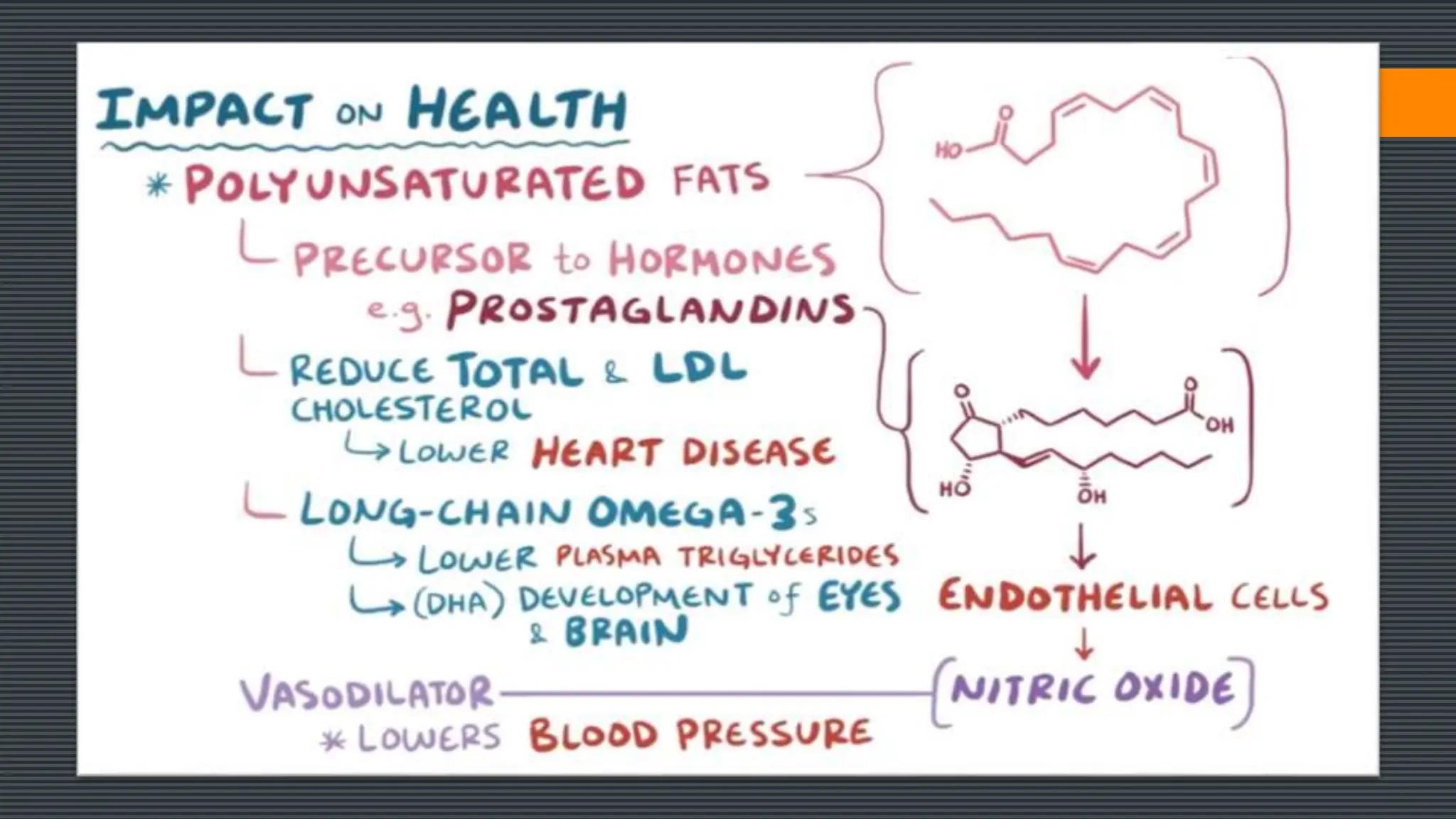 The structure of lipids and it's components | PPTX