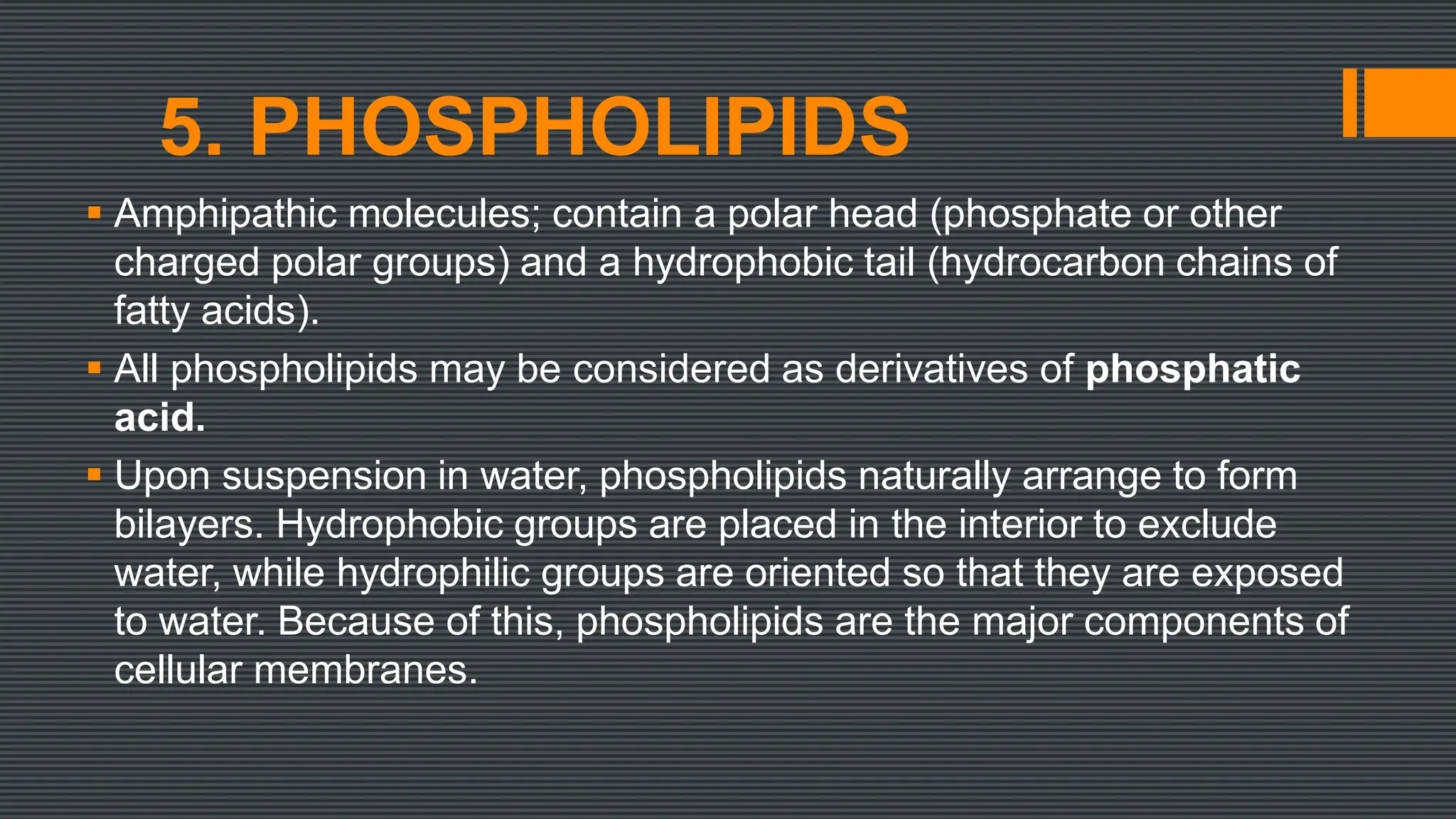 The structure of lipids and it's components | PPTX