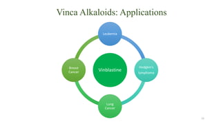 Vinca Alkaloids as Anticancer Agents (Looking back and peering ahead ...