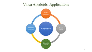 Vinca Alkaloids as Anticancer Agents (Looking back and peering ahead ...