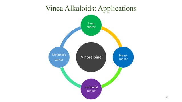Vinca Alkaloids as Anticancer Agents (Looking back and peering ahead ...