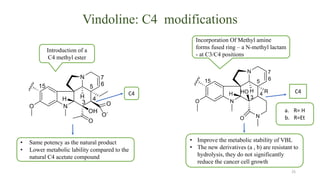 Vinca Alkaloids as Anticancer Agents (Looking back and peering ahead ...