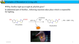 Development in Biocatalysis in organic chemistrypptx | PPTX