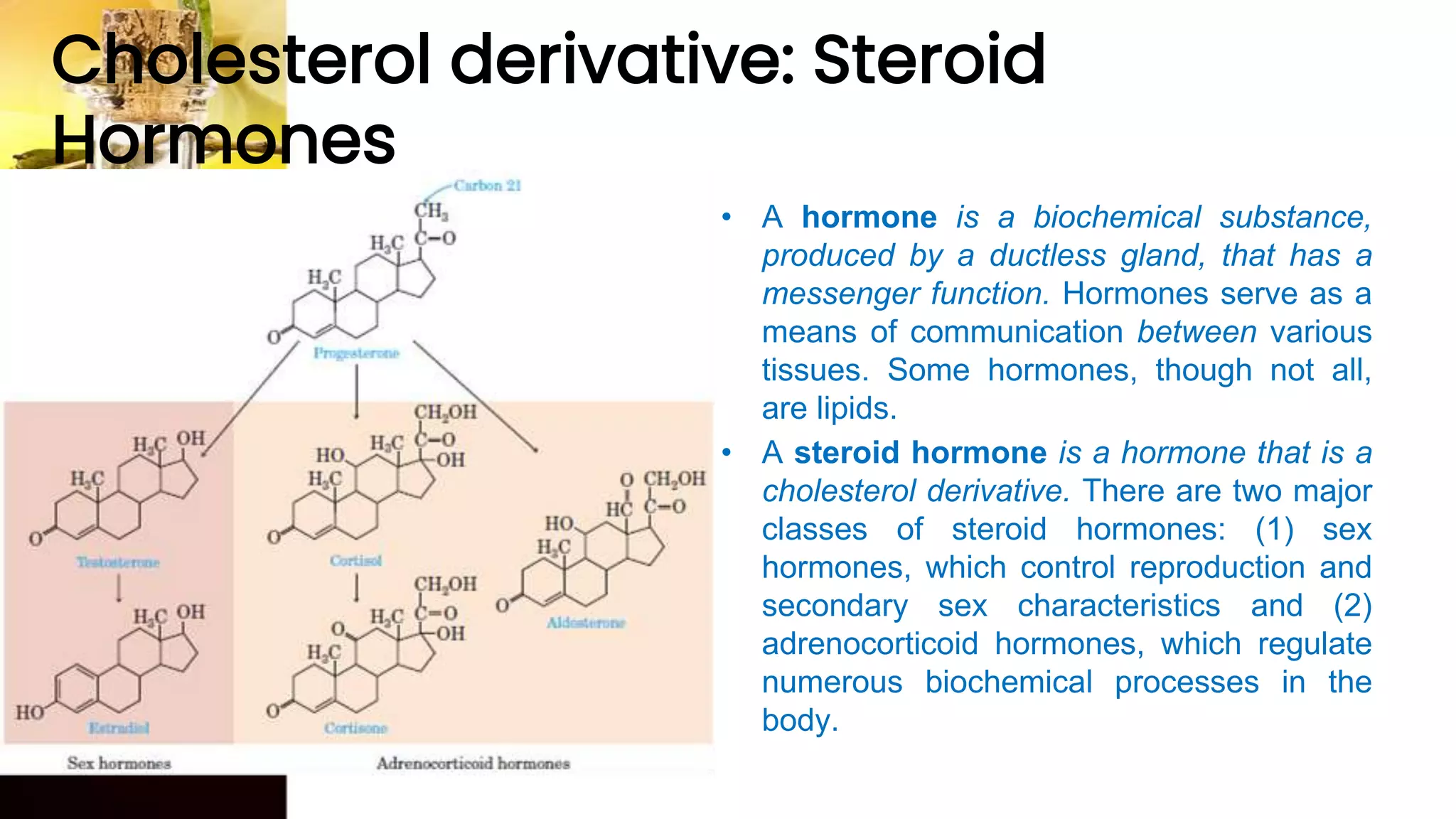 MC 2 Lesson IV - Lipids.pptx