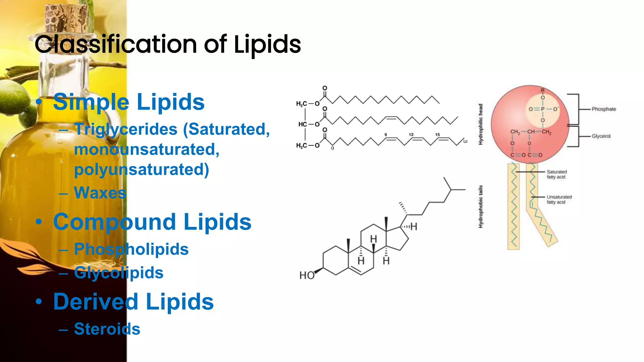 MC 2 Lesson IV - Lipids.pptx