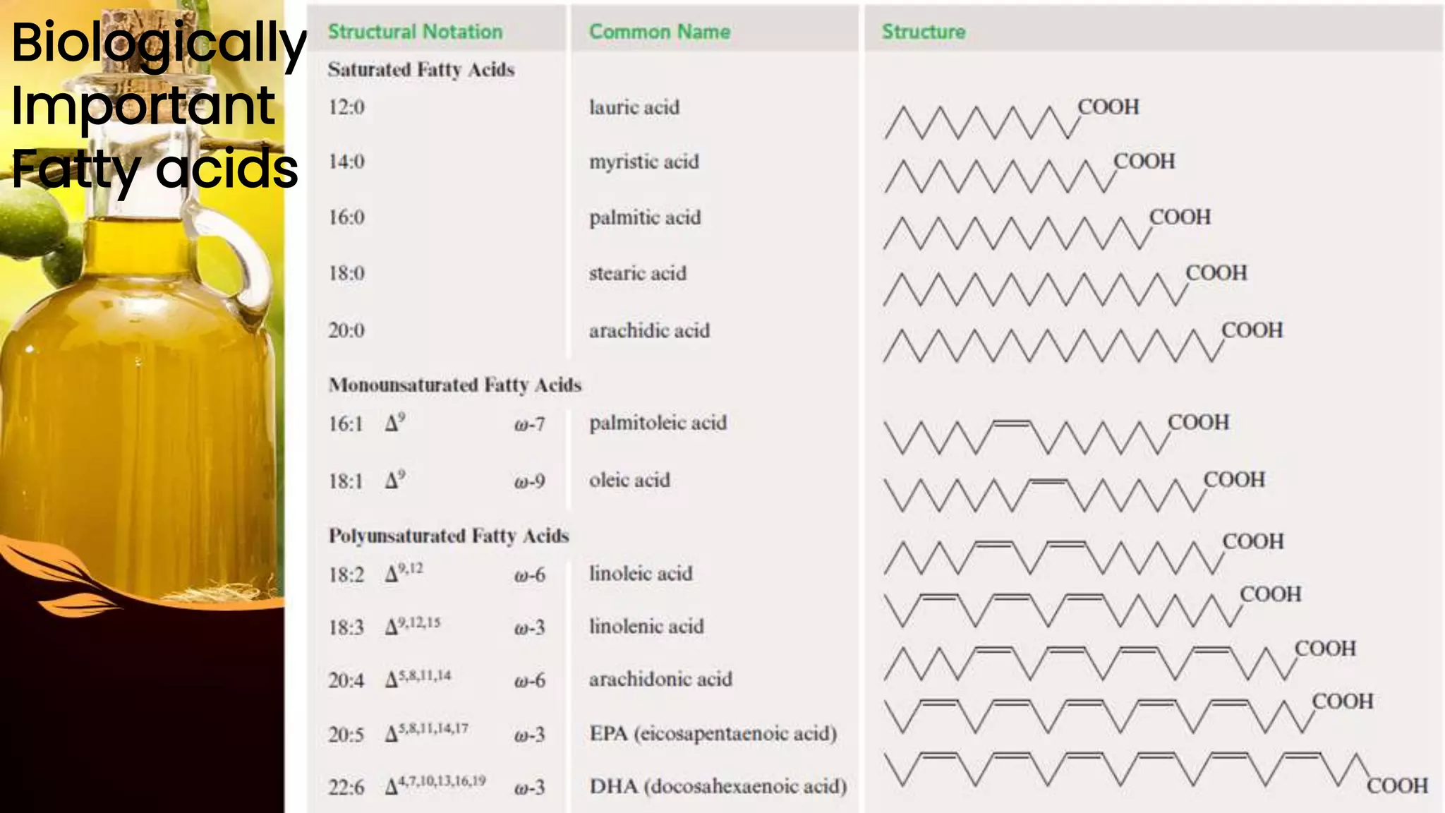 MC 2 Lesson IV - Lipids.pptx