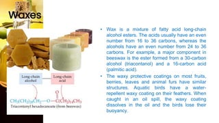 MC 2 Lesson IV - Lipids.pptx