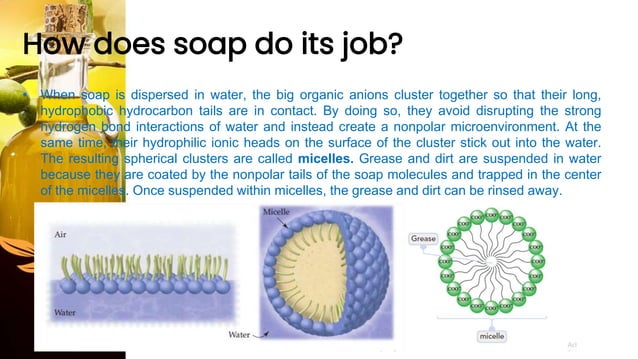 MC 2 Lesson IV - Lipids.pptx