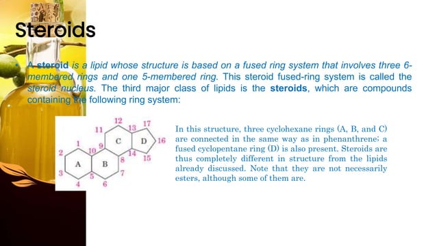 MC 2 Lesson IV - Lipids.pptx