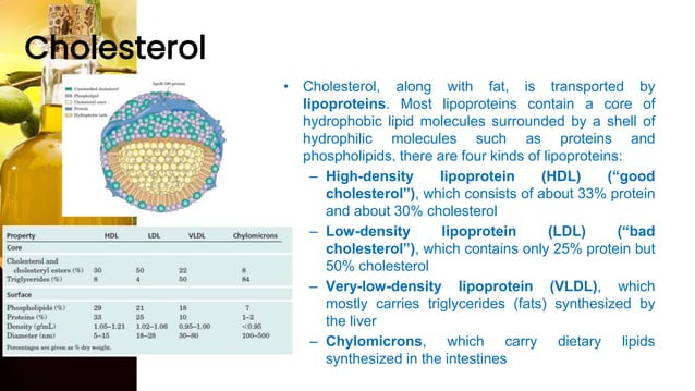 MC 2 Lesson IV - Lipids.pptx