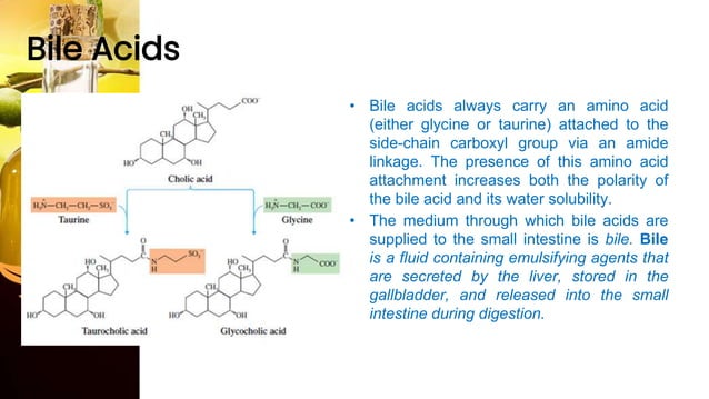 MC 2 Lesson IV - Lipids.pptx