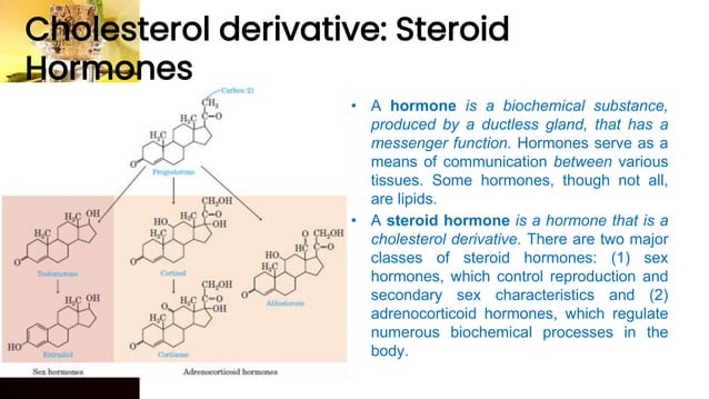 MC 2 Lesson IV - Lipids.pptx