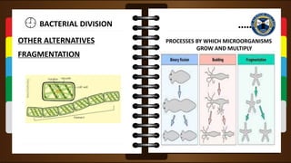 MC3 - Week 3 Microbial Growth and Control.ppt