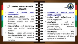 MC3 - Week 3 Microbial Growth and Control.ppt