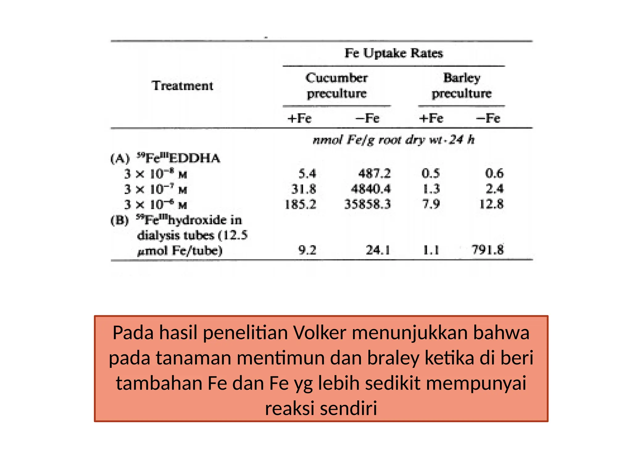 Unsur-unsur Hara Mikro - Fe (Ferum).pptx