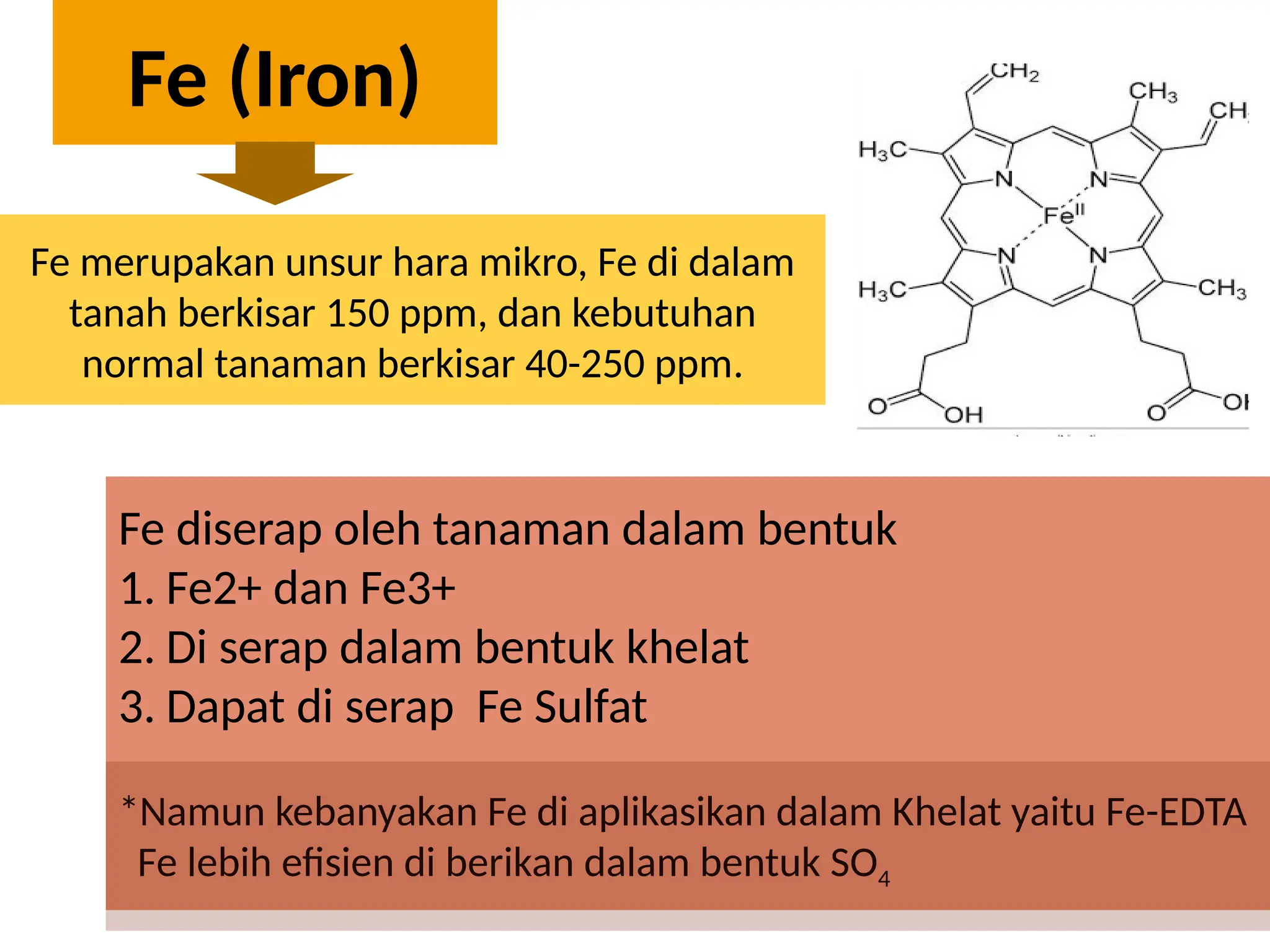 Unsur-unsur Hara Mikro - Fe (Ferum).pptx