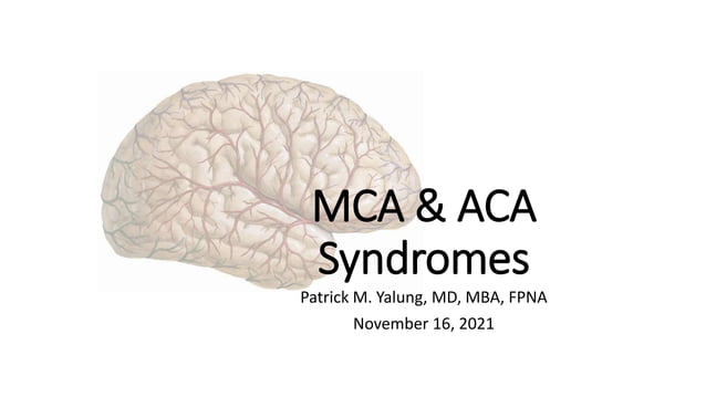 Mca & aca syndromes | PPTX