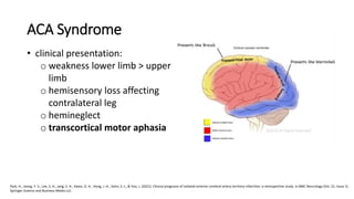 Mca & aca syndromes | PPTX
