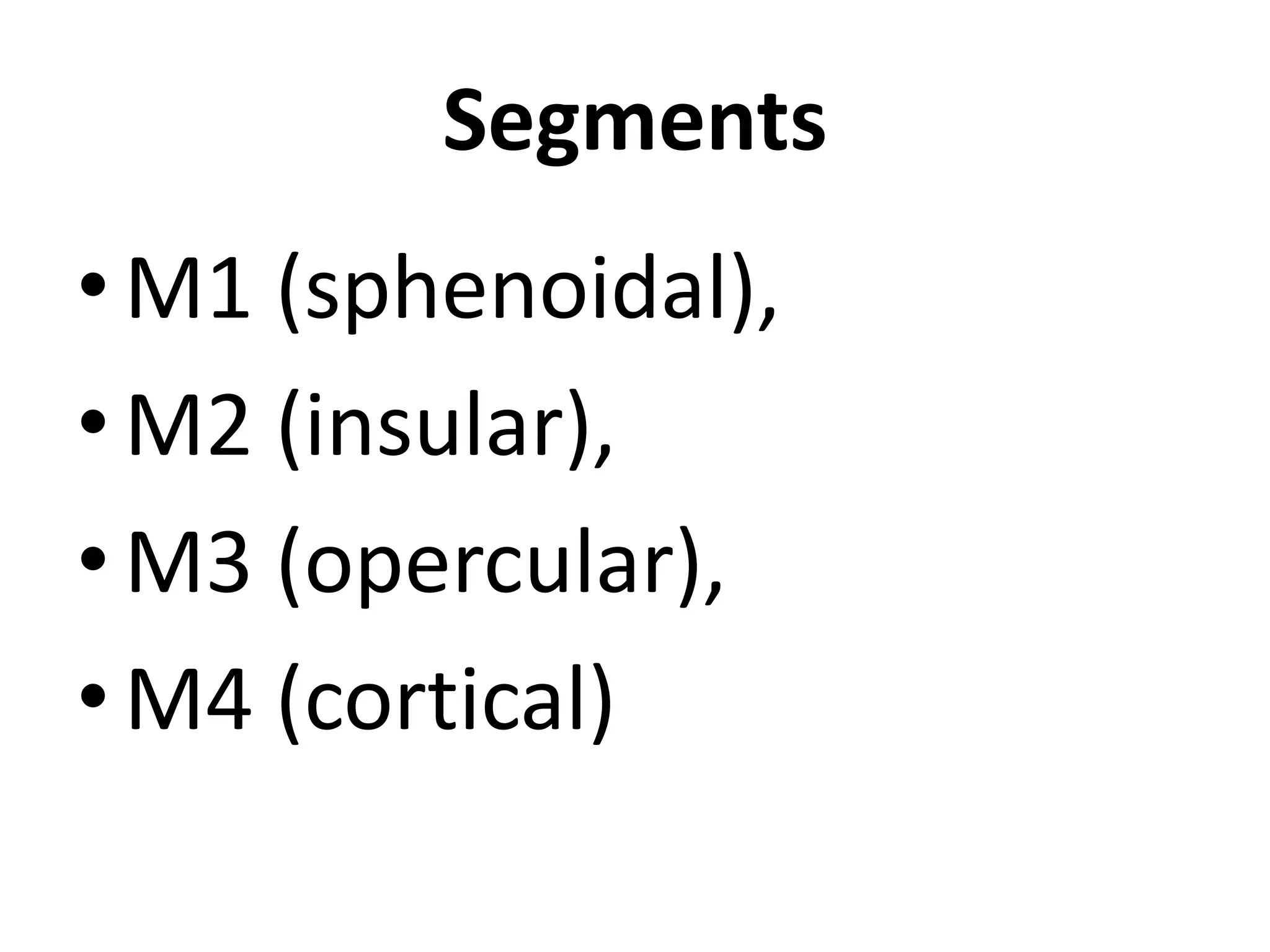 middle cerebral artery anatomy | PPTX