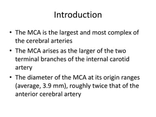 middle cerebral artery anatomy | PPTX