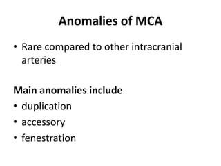 middle cerebral artery anatomy | PPTX
