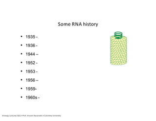 Virology - RNA directed RNA synthesis: Professor Vincent | PDF