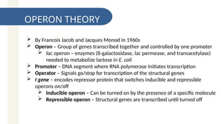 Central Dogma, Replication, Transcription, Translation | PPTX