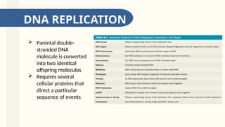 Central Dogma, Replication, Transcription, Translation | PPT