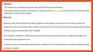 mcb 403 ppt g9.pptx | Biological Sciences | Science