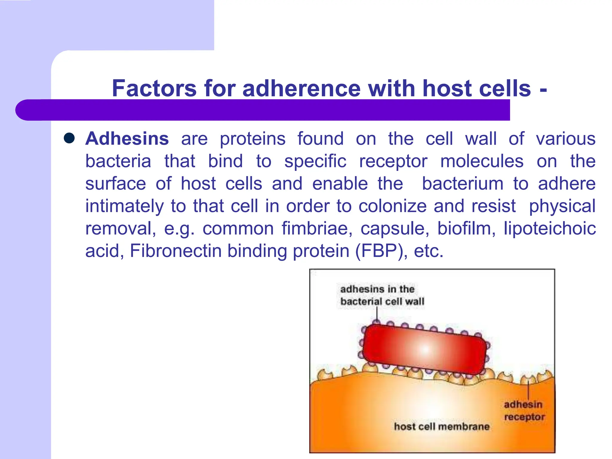 MCB 814-Principles of Bacterial Pathogenesis.pptx