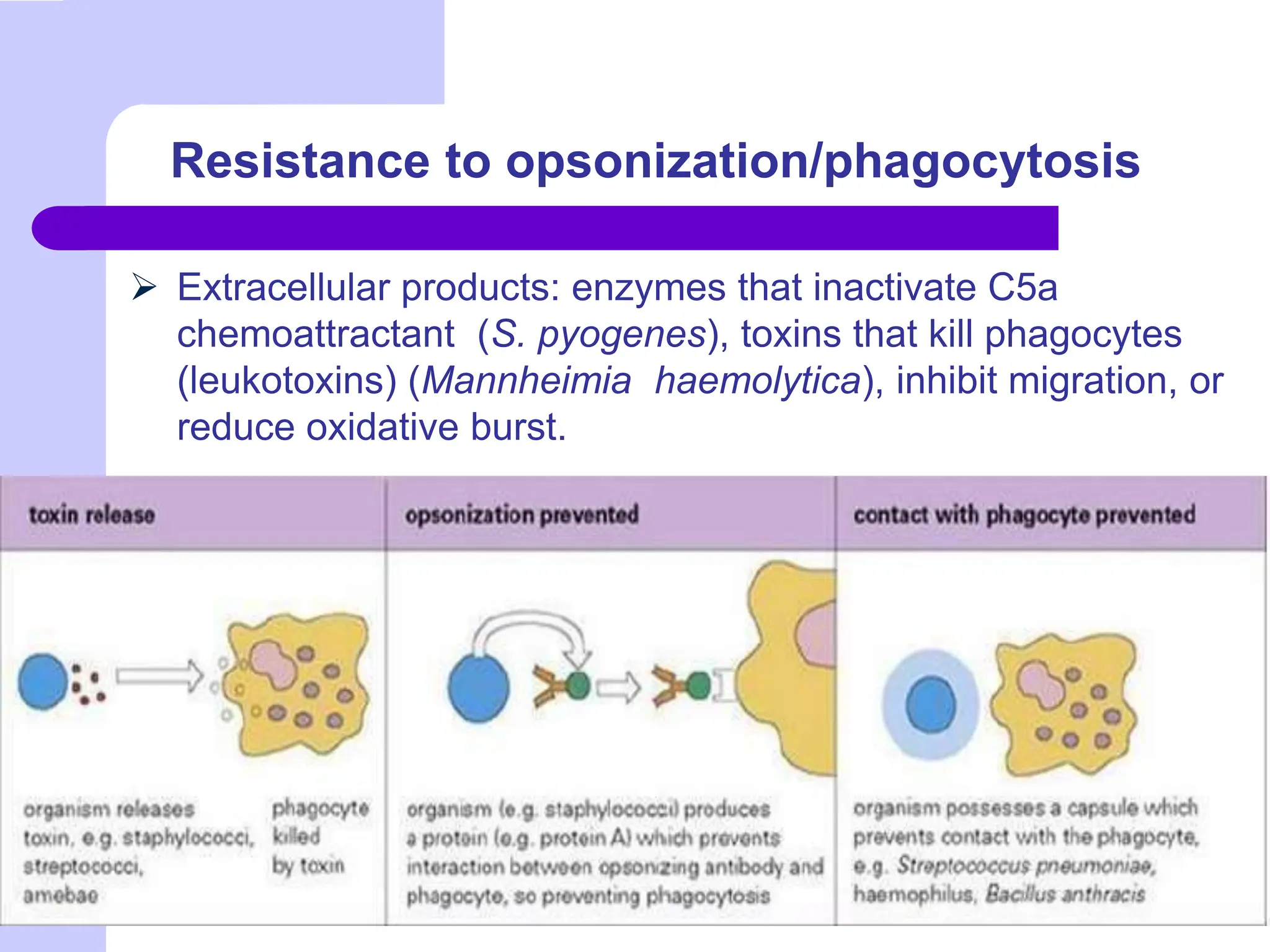 MCB 814-Principles of Bacterial Pathogenesis.pptx