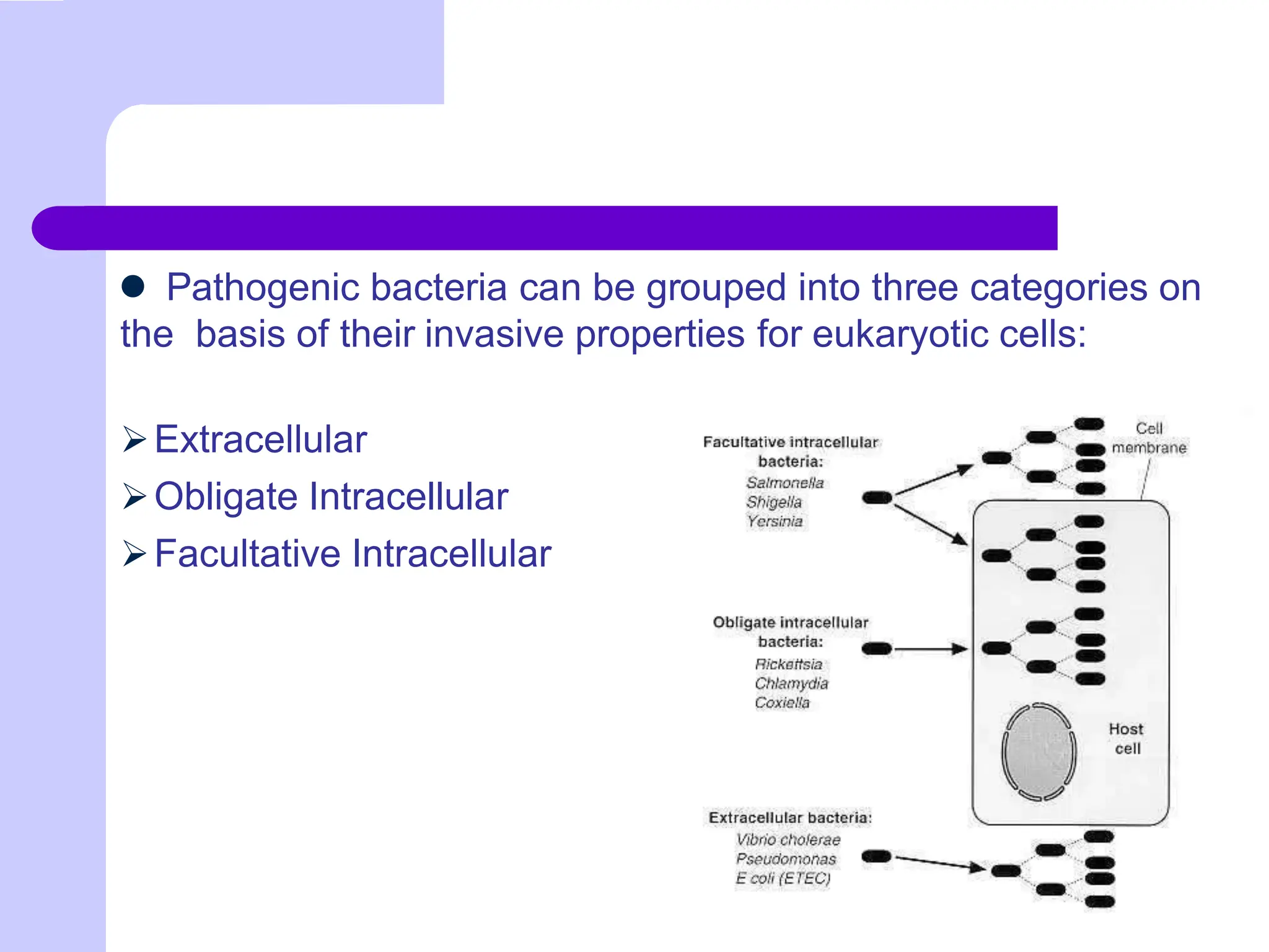 MCB 814-Principles of Bacterial Pathogenesis.pptx