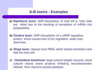 MCB 814-Principles of Bacterial Pathogenesis.pptx