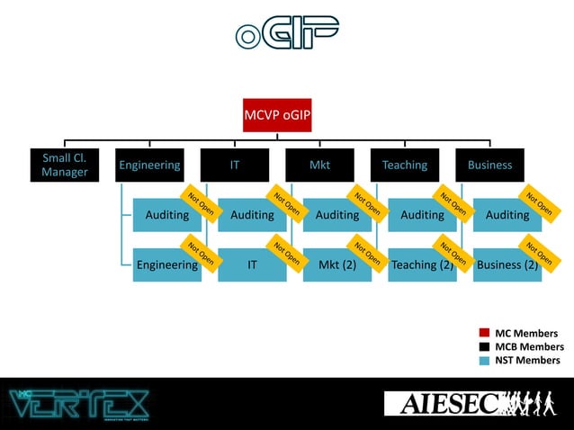AIESEC in Mexico | MCB + NST Structures - MC Vertex 2014 | PPT