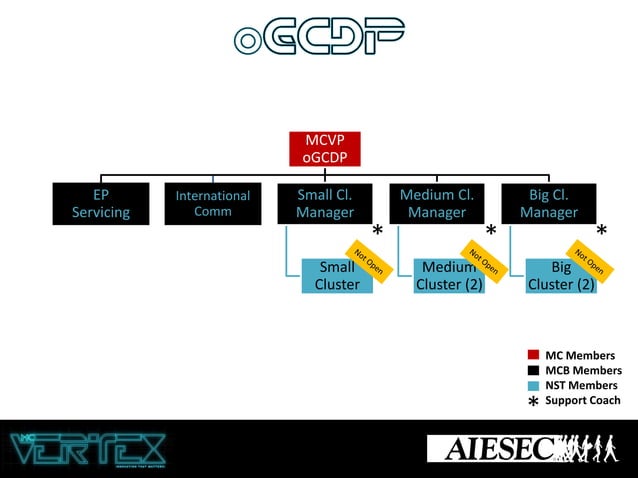 AIESEC in Mexico | MCB + NST Structures - MC Vertex 2014 | PPT