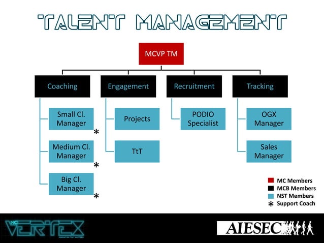 AIESEC in Mexico | MCB + NST Structures - MC Vertex 2014 | PPT