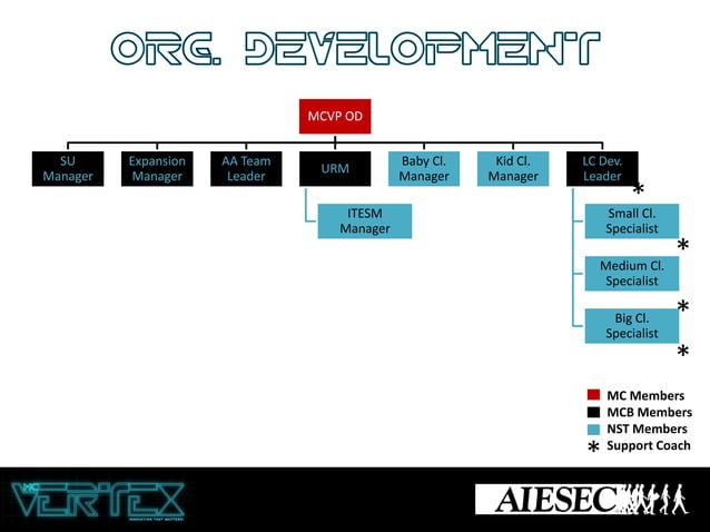 AIESEC in Mexico | MCB + NST Structures - MC Vertex 2014 | PPT