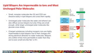 Mechanism of transport of small molecules across membrane.pptx