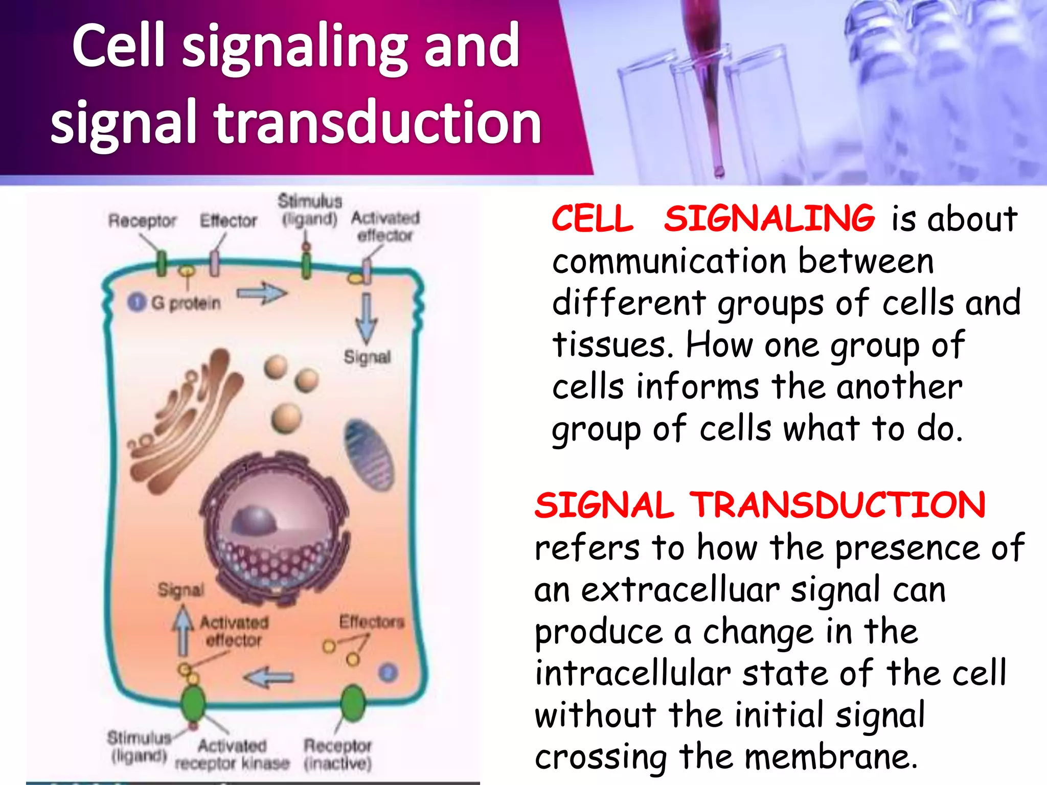 cellular signalling and its components | PPT