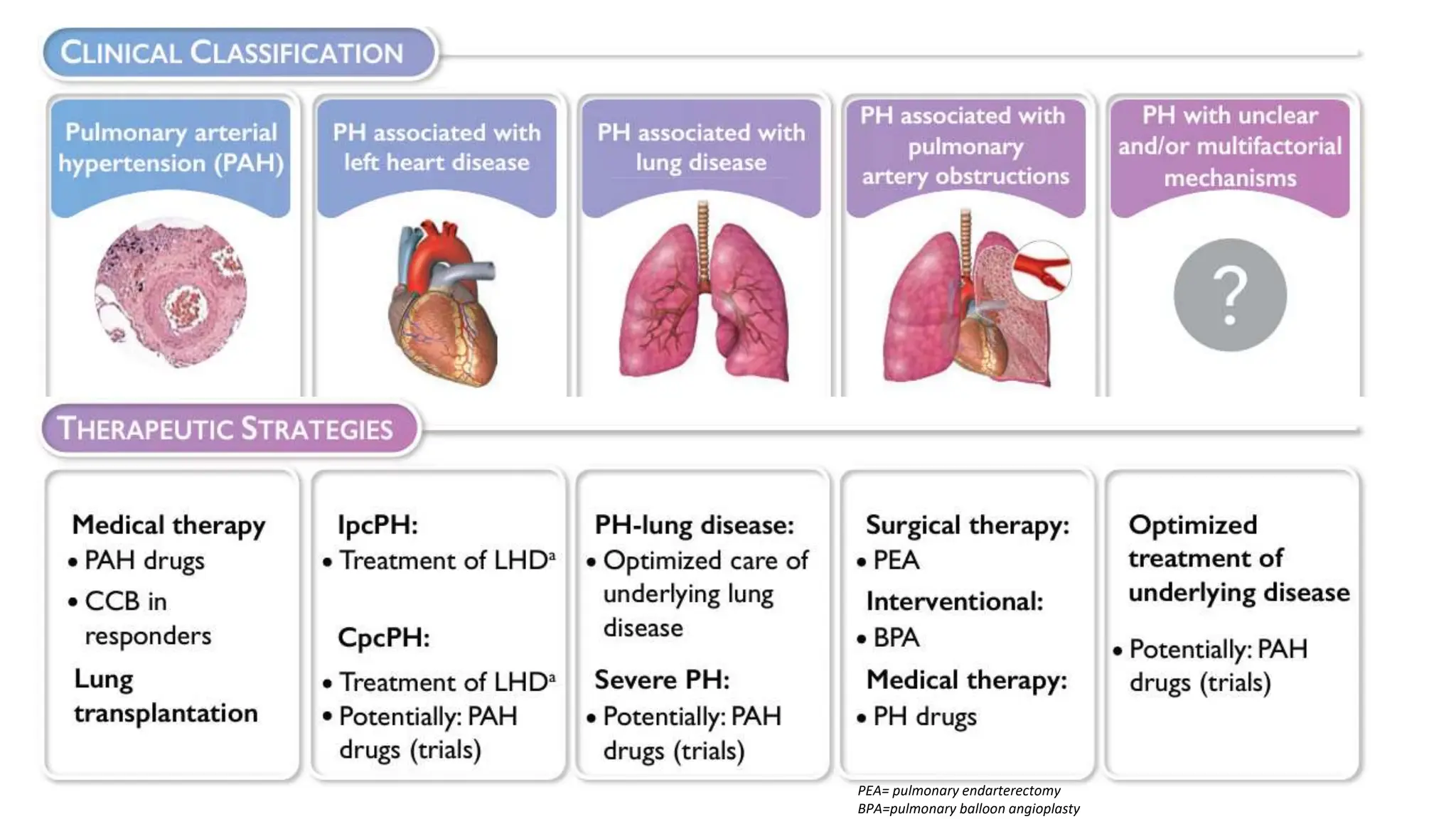 10 Take-home messages of the 2022 ESC/ERS Guidelines for the diagnosis ...