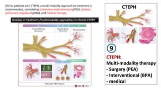 10 Take-home messages of the 2022 ESC/ERS Guidelines for the diagnosis ...