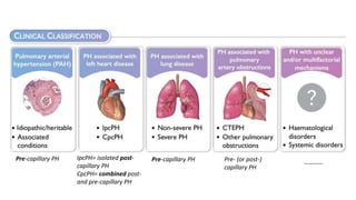 10 Take-home messages of the 2022 ESC/ERS Guidelines for the diagnosis ...