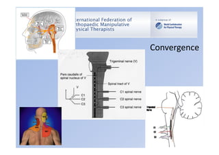 Safety of Neck Manipulation | PDF