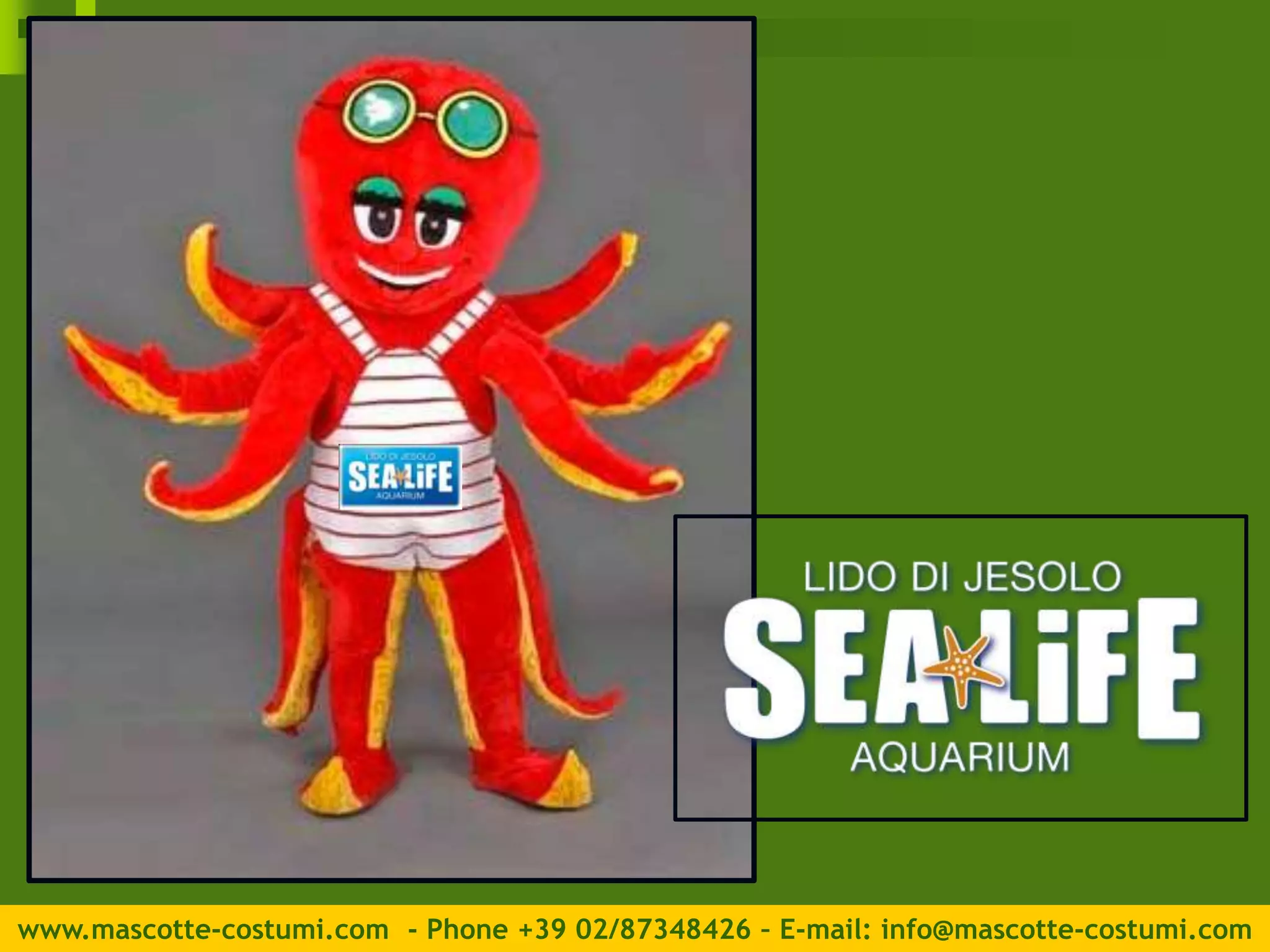 Custom Mascots Costume | PPT