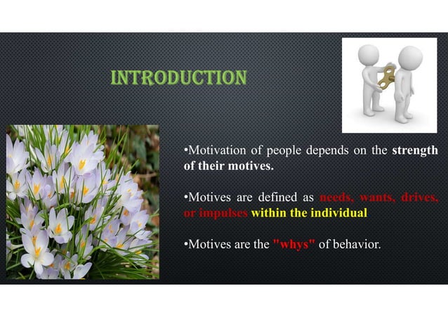 Mcclelland's theory of achievement motivation | PDF | Science