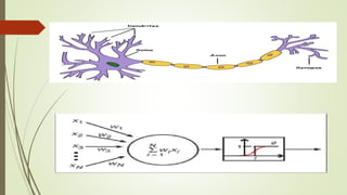 Mc culloch pitts neuron | PDF