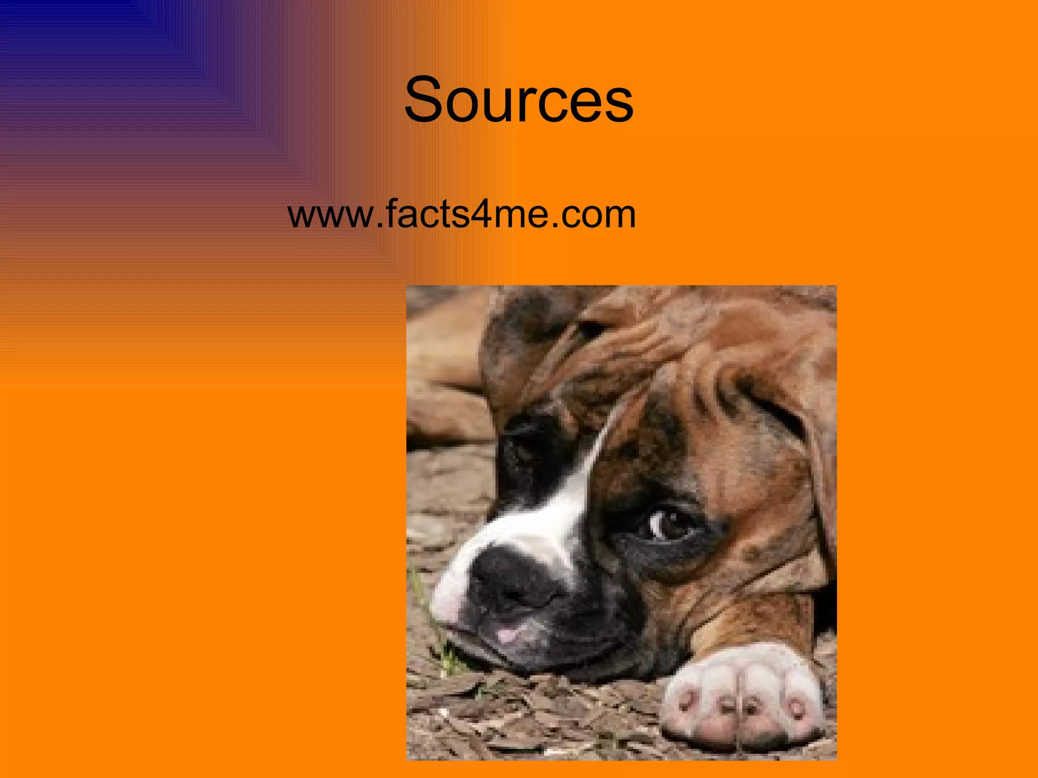 Mc Curdy Braden | PPT