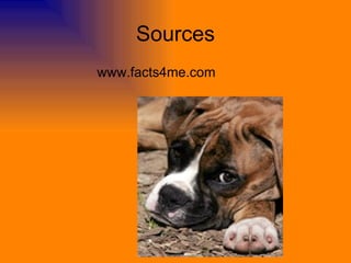 Mc Curdy Braden | PPT