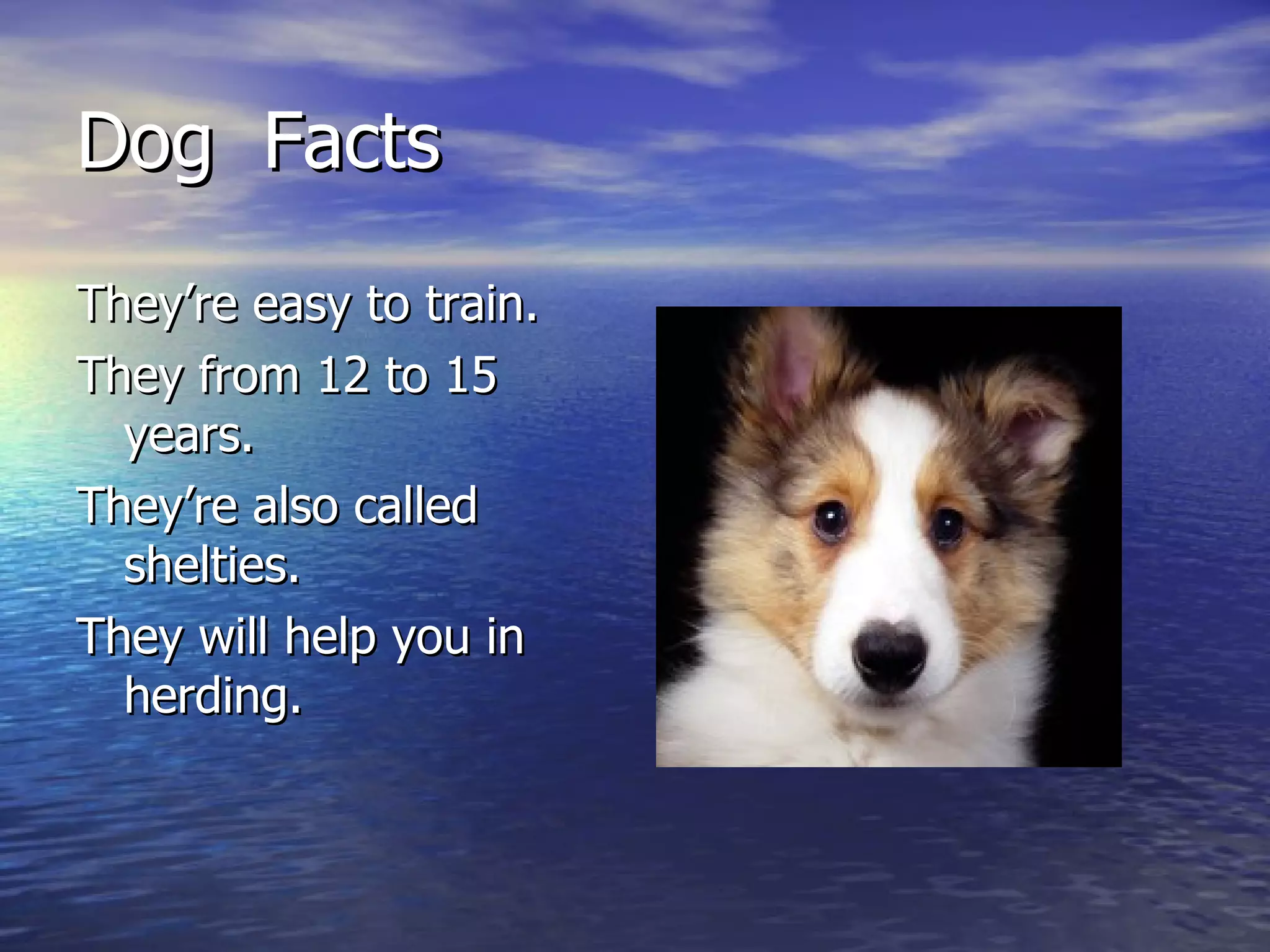 Mccurdy Chelsea | PPT